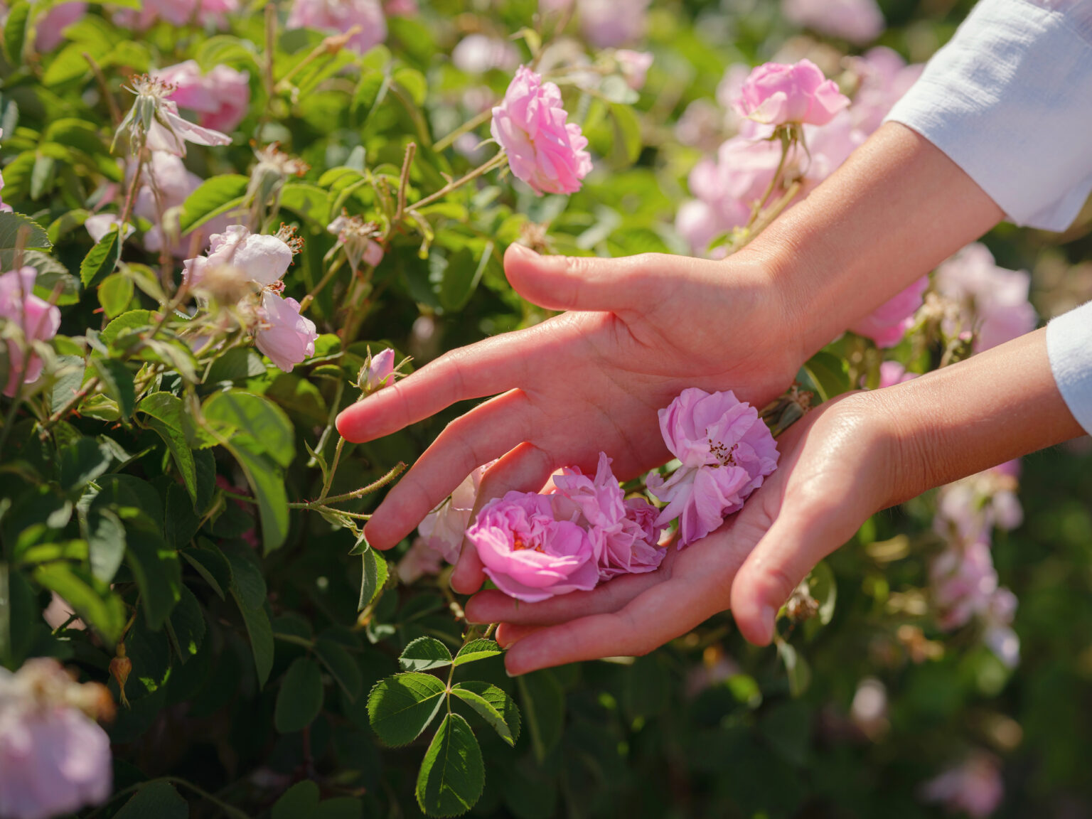 9 Ancient Arabic Beauty Rituals That Work Wonders Today 2026